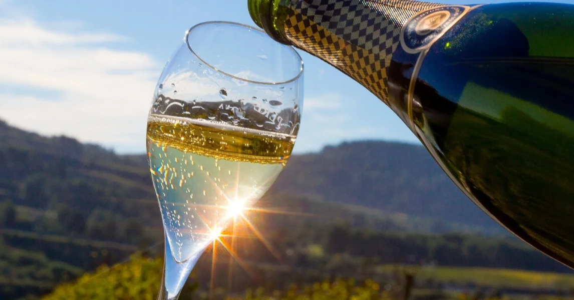 Cava and Wine Tour from Barcelona | Barcelona Inside and Out